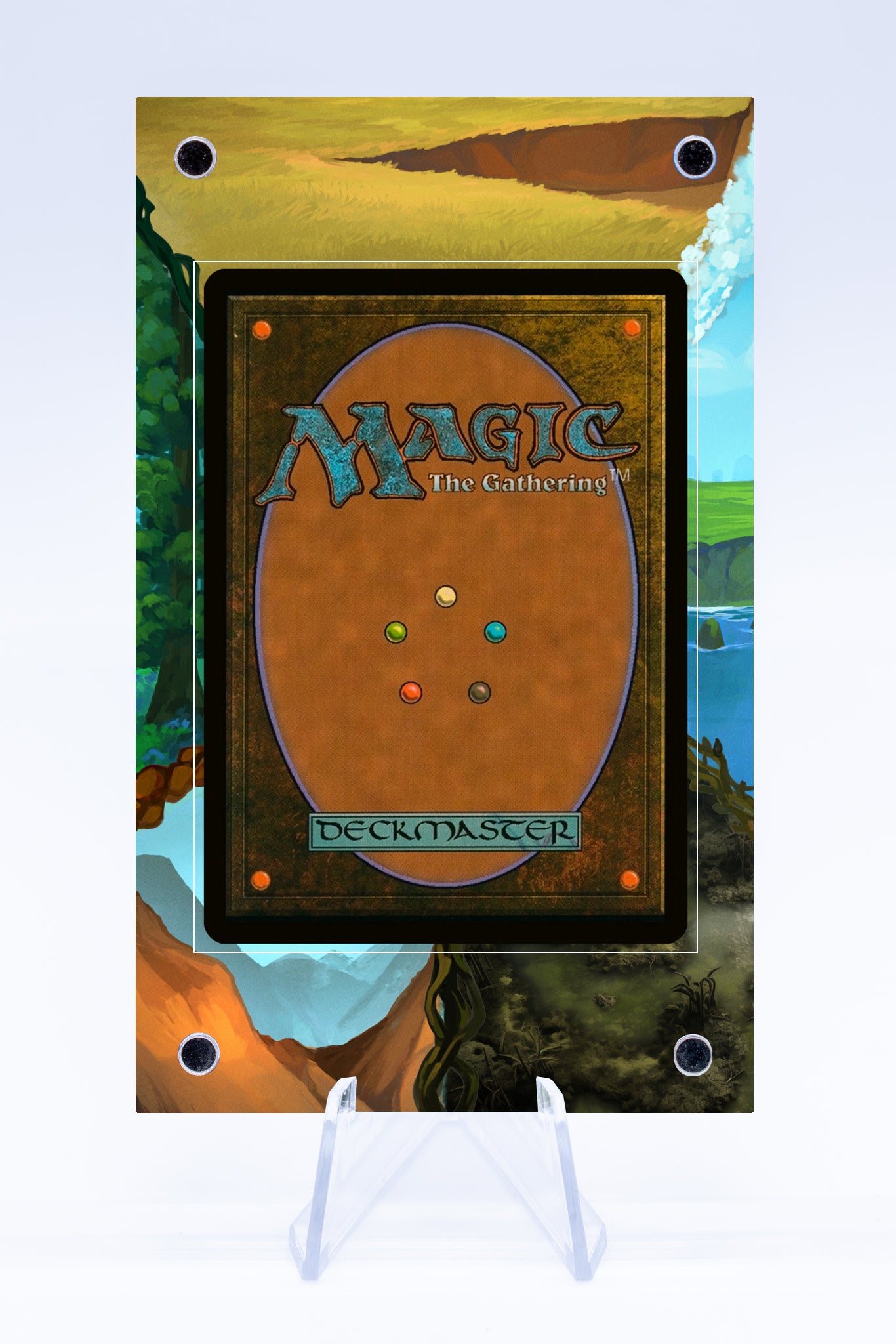 OTHER TCG Cases (Graded & Ungraded)